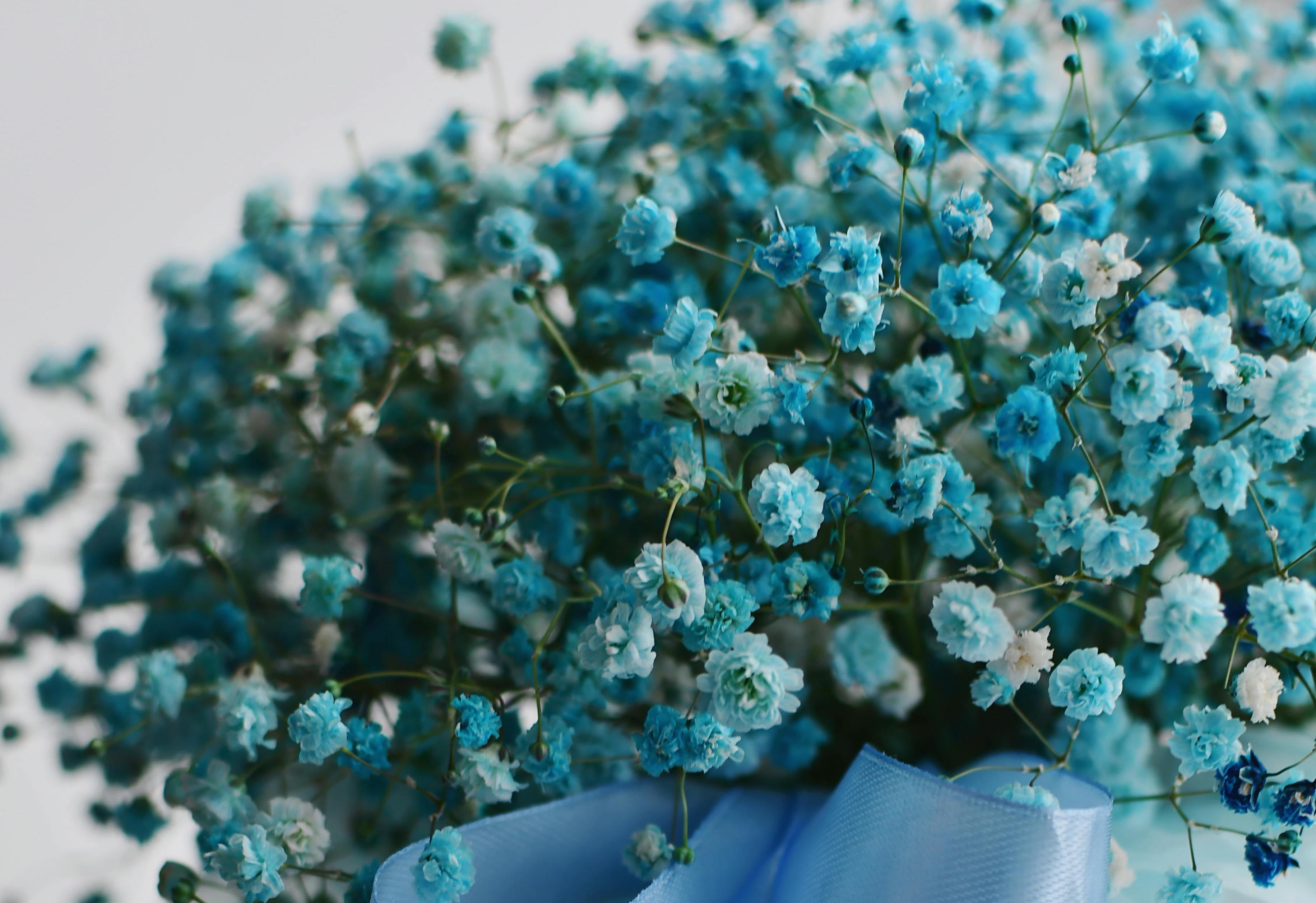 Blue Flower Bouquet – PM Flowers