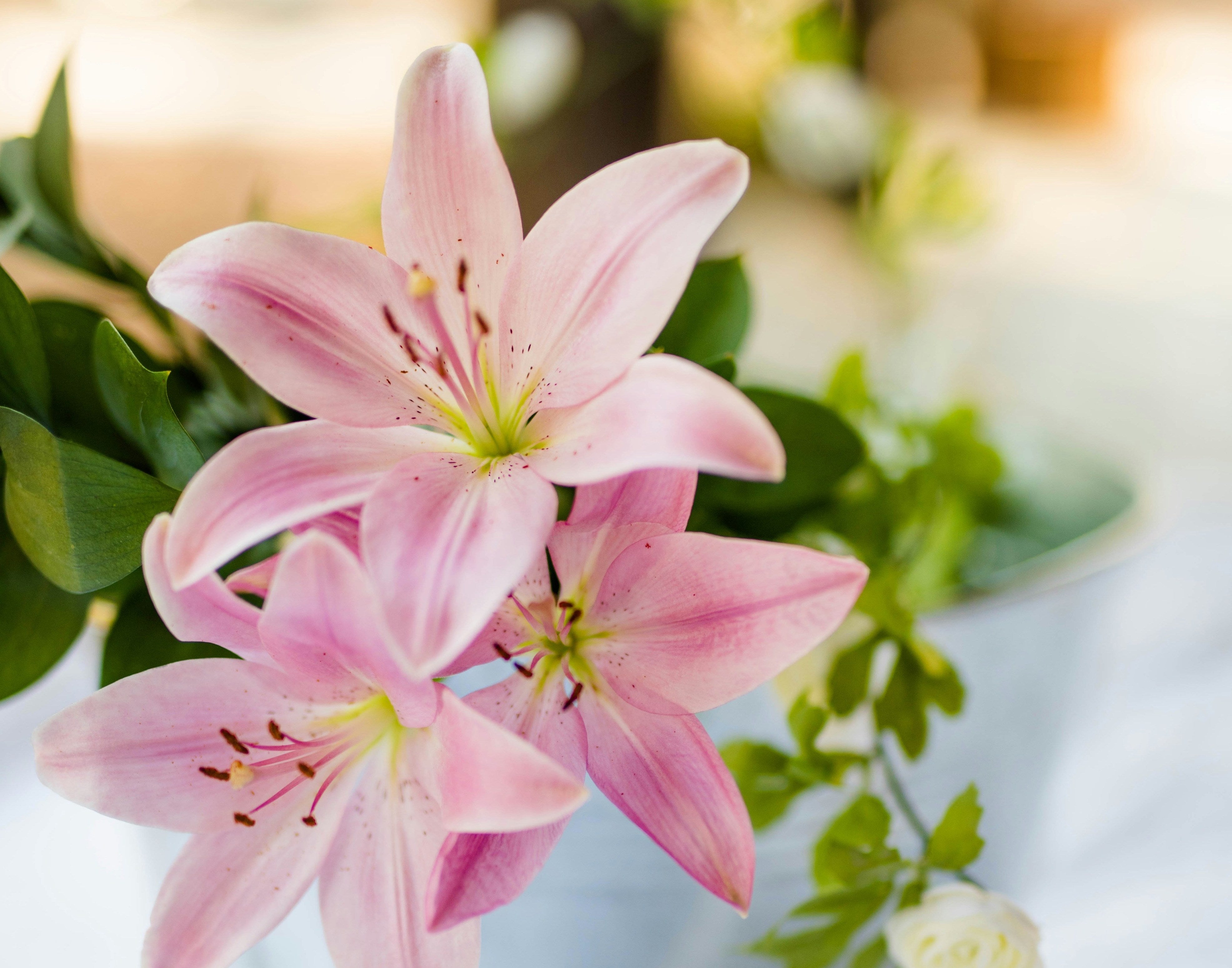 Lilies – PM Flowers