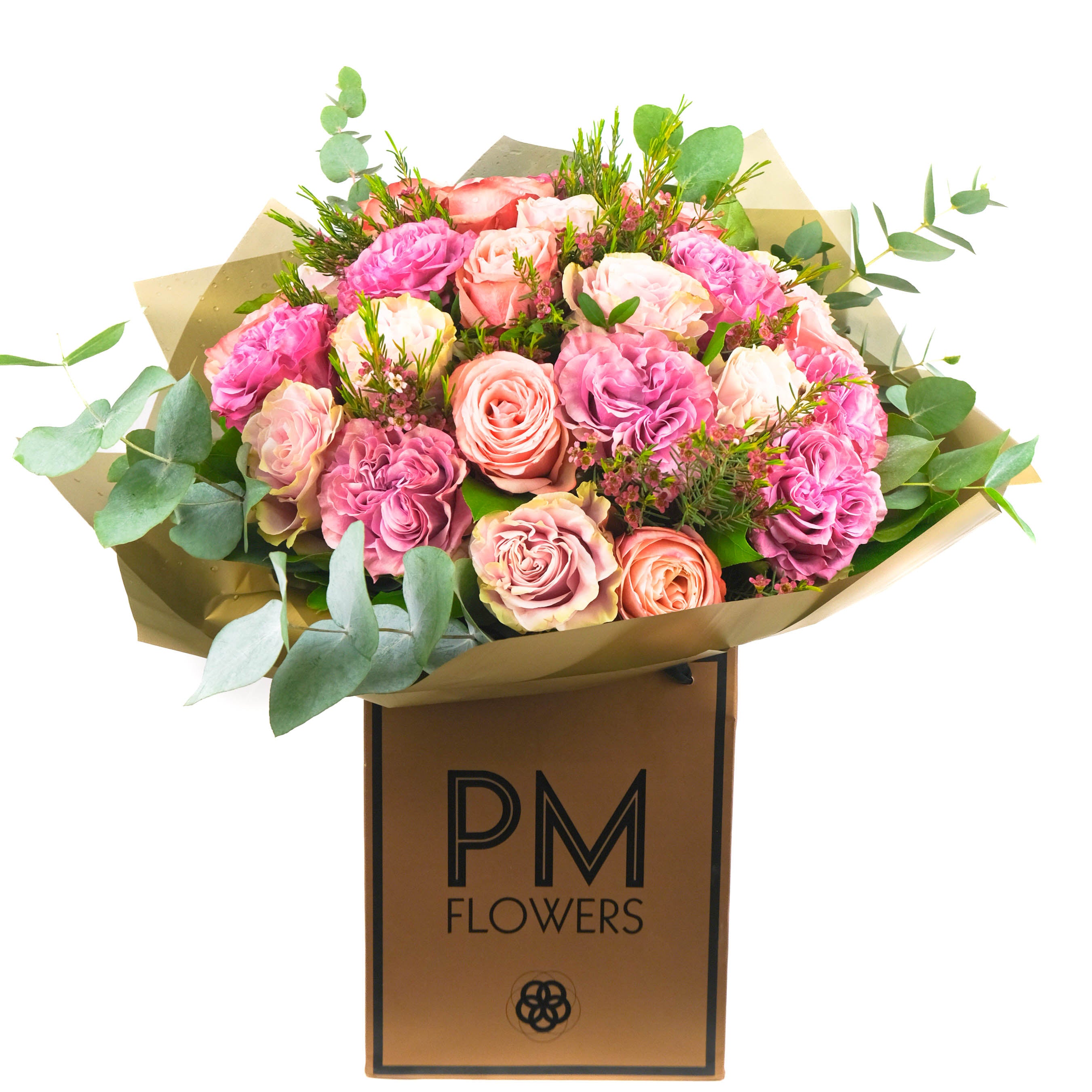 Splendid – PM Flowers